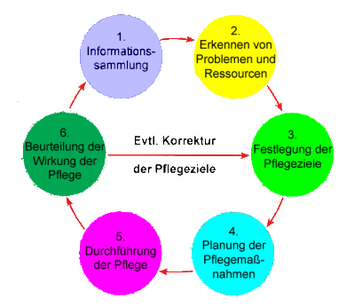 Pflegetheorie Pflegemodelle Vitalzeichen